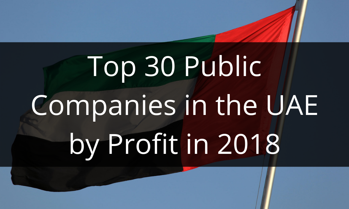 Top 30 Companies in UAE by Profit in 2024
